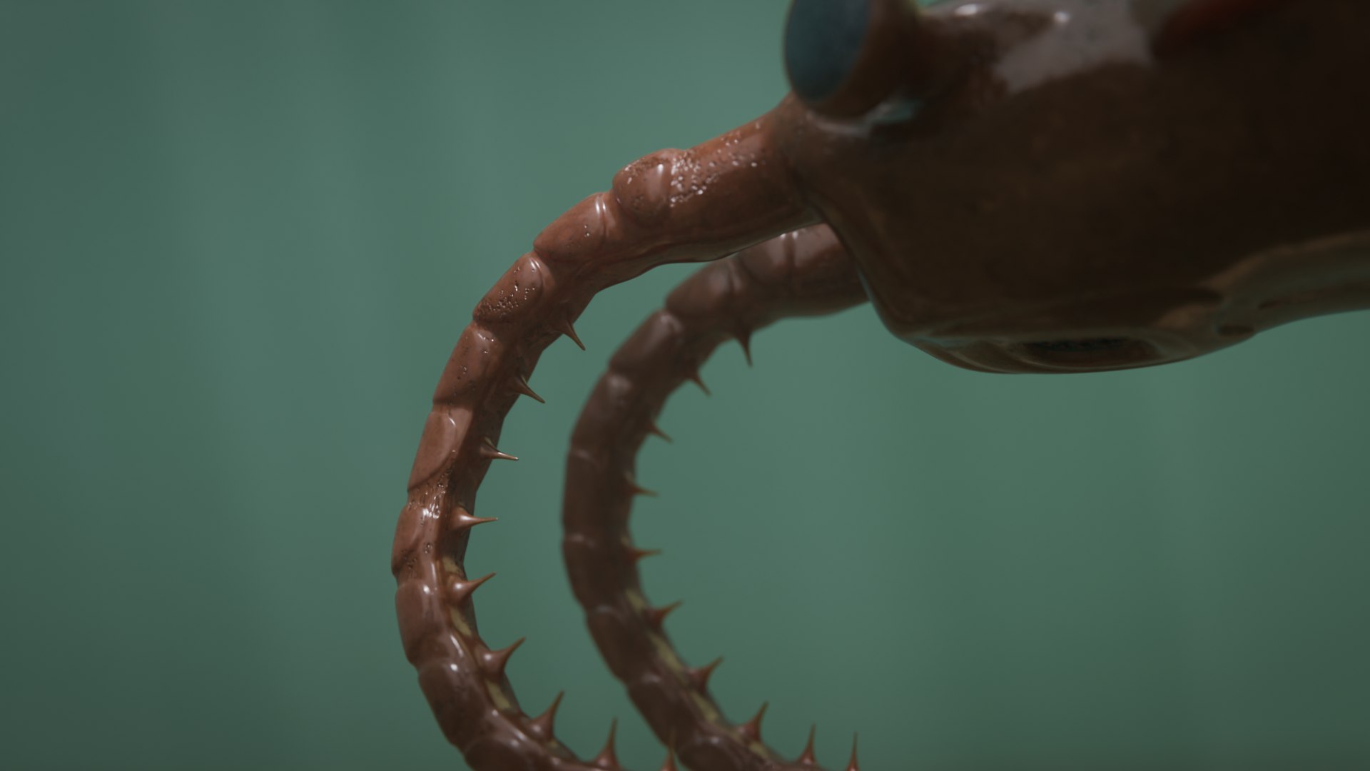 3D Anomalocaris 3D Model Model - TurboSquid 2326595