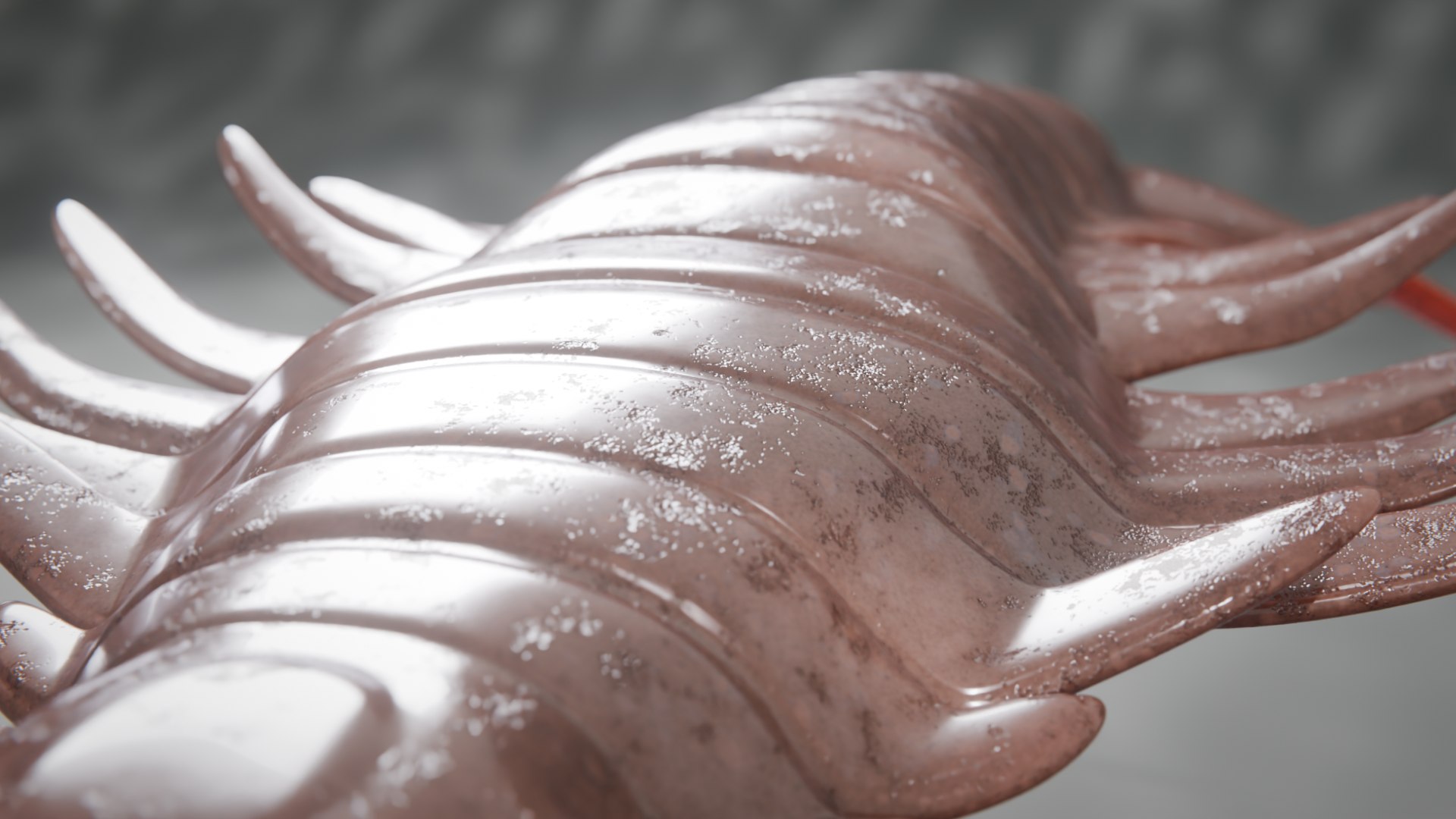 3D Anomalocaris 3D Model Model - TurboSquid 2326595