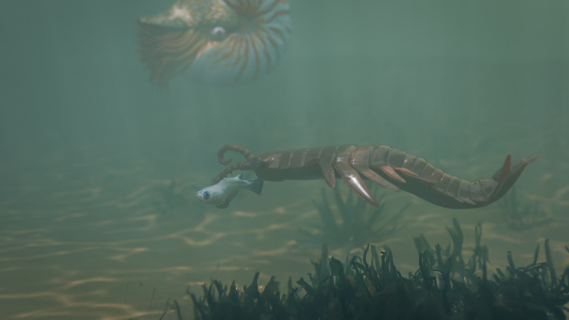 3D Anomalocaris 3D Model Model - TurboSquid 2326595