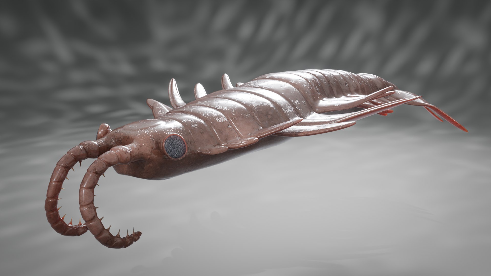 3D Anomalocaris 3D Model Model - TurboSquid 2326595