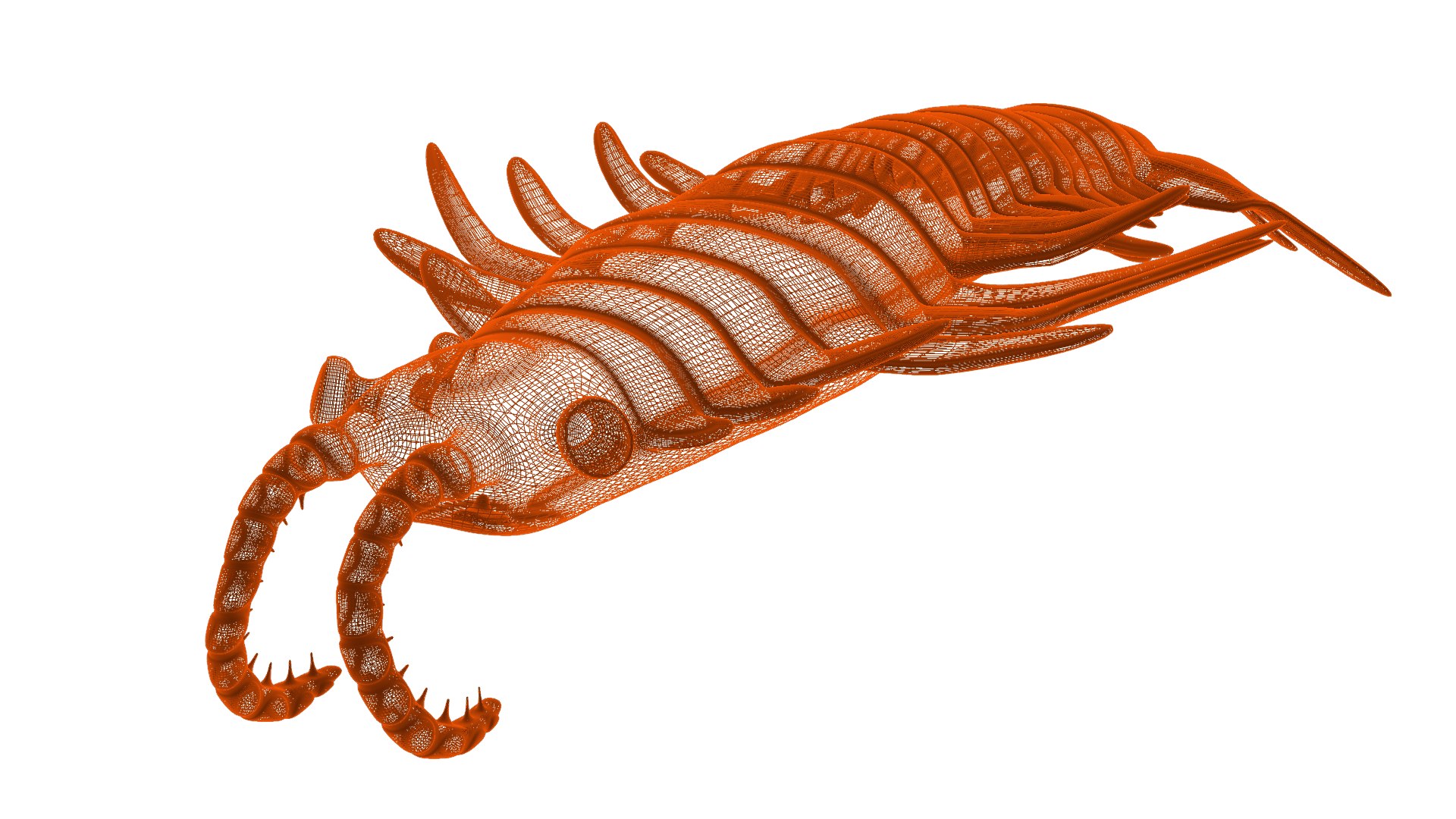 3D Anomalocaris 3D Model Model - TurboSquid 2326595