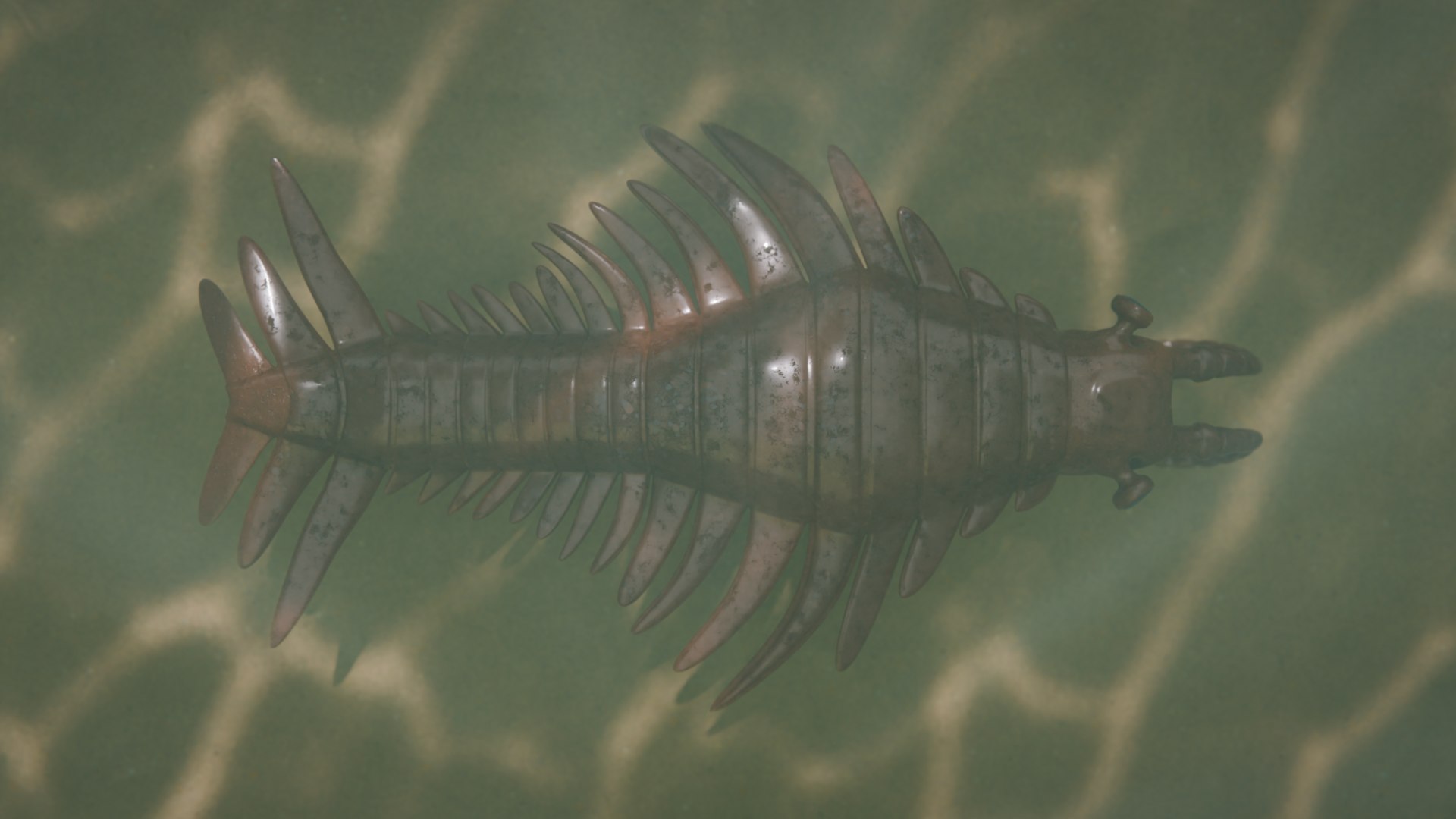3D Anomalocaris 3D Model Model - TurboSquid 2326595