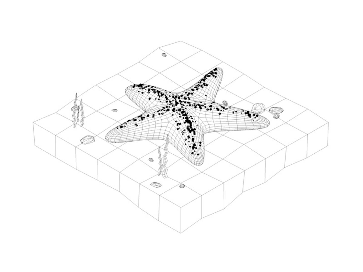 modelo 3d Ilustración de dibujos animados Low Poly Starfish gratis ...