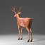 3d Deer Model