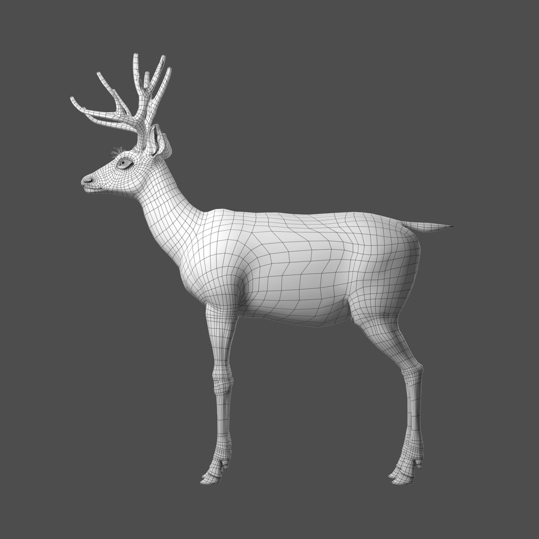 3d Deer Model