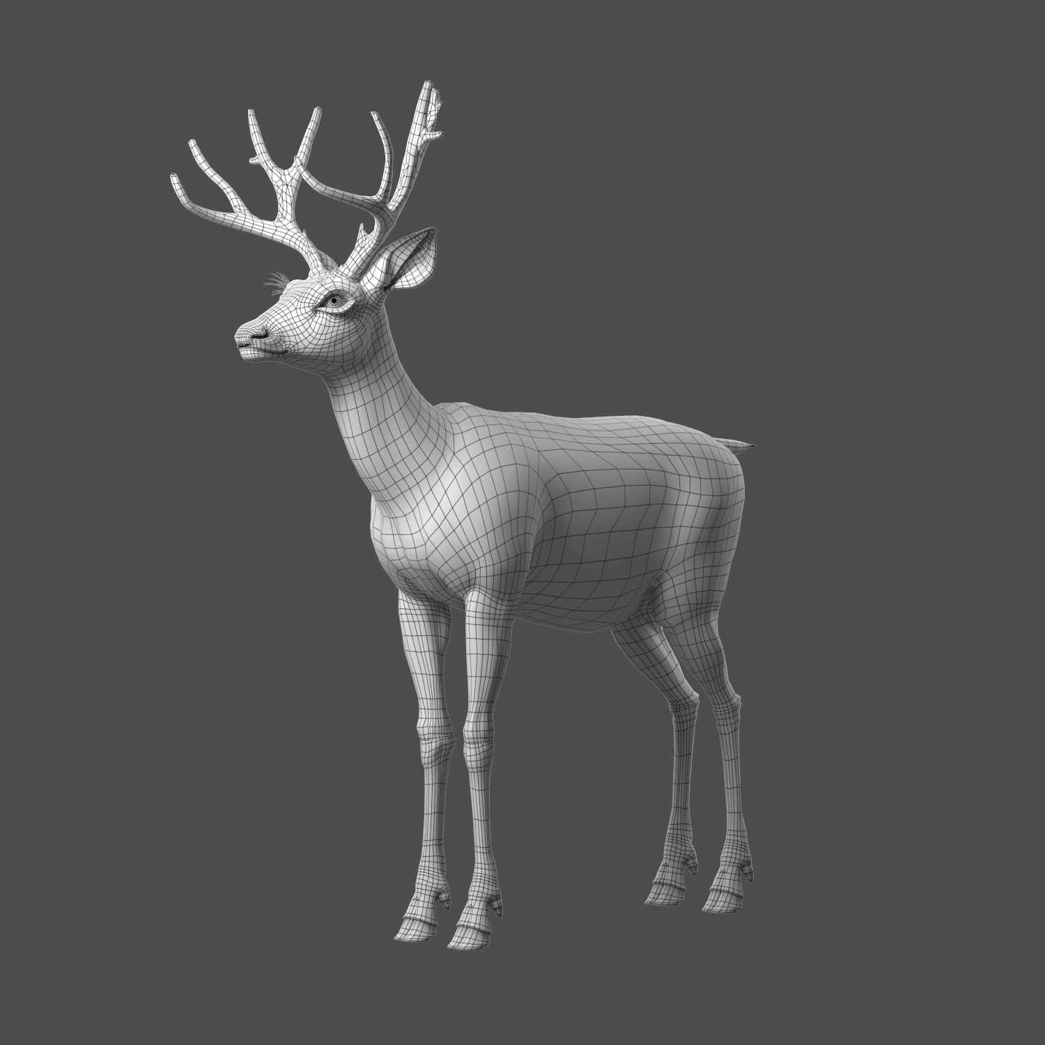 3d deer model