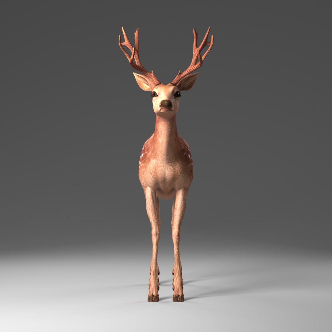 3d Deer Model