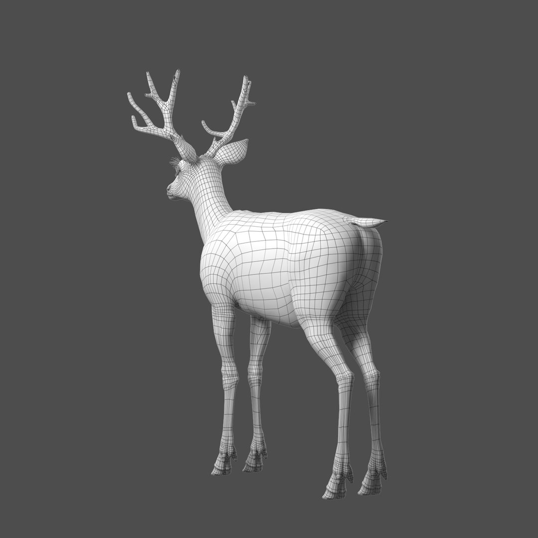 3d Deer Model