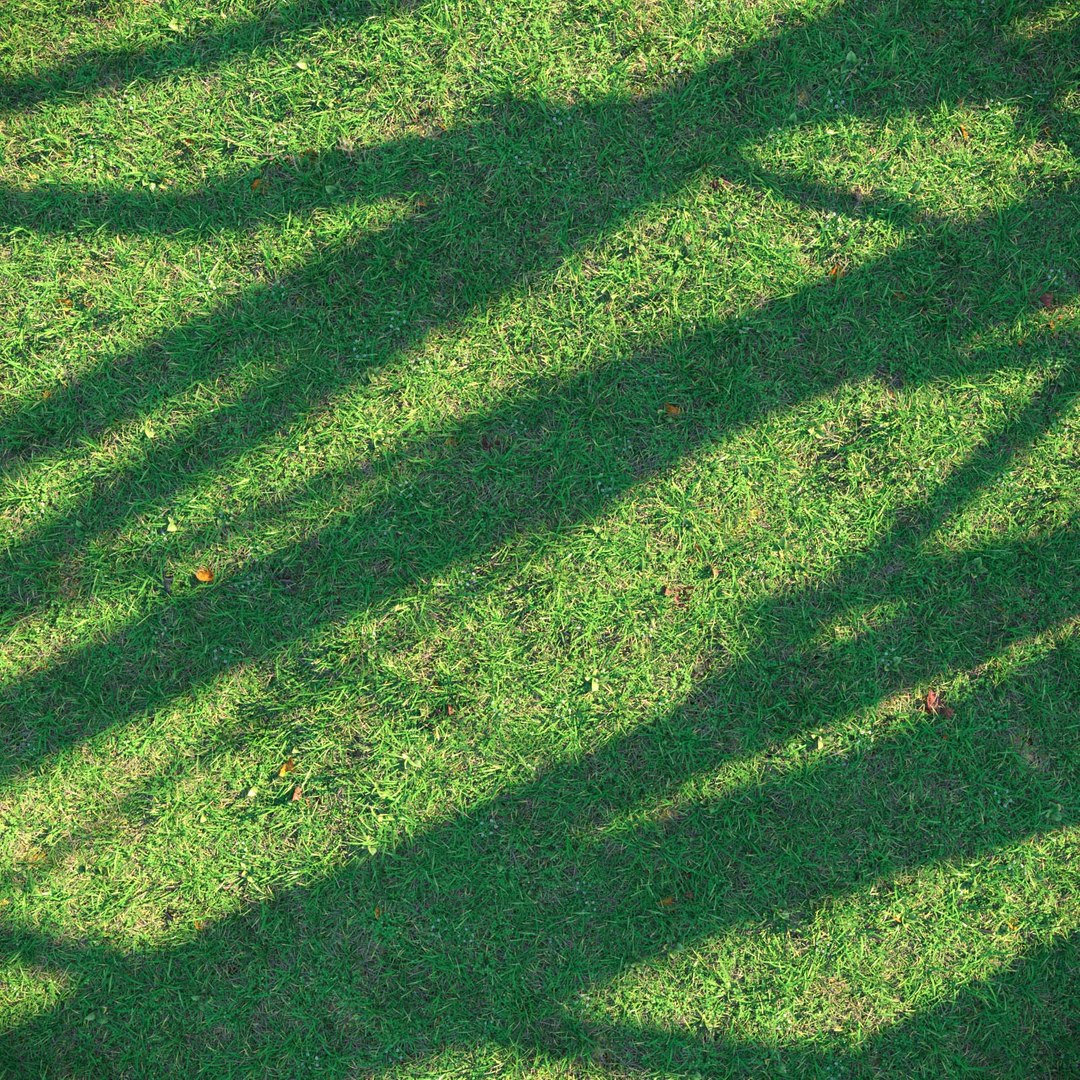 3D Model Grass Lawn - TurboSquid 1538201