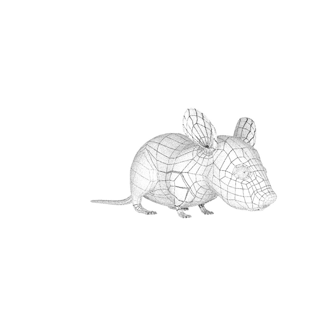 Mouse 3d Model