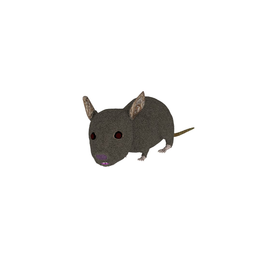 Mouse 3d Model