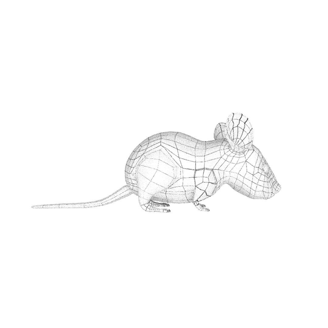 Mouse 3d Model