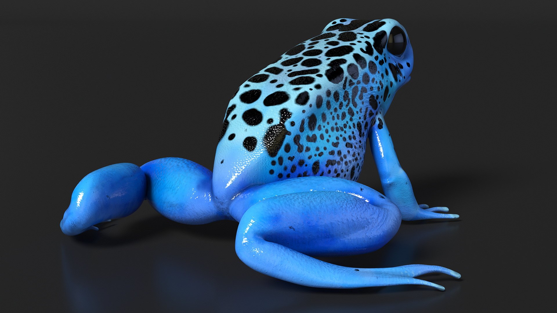 3D Blue Poison Dart Frog Model - TurboSquid 2188877