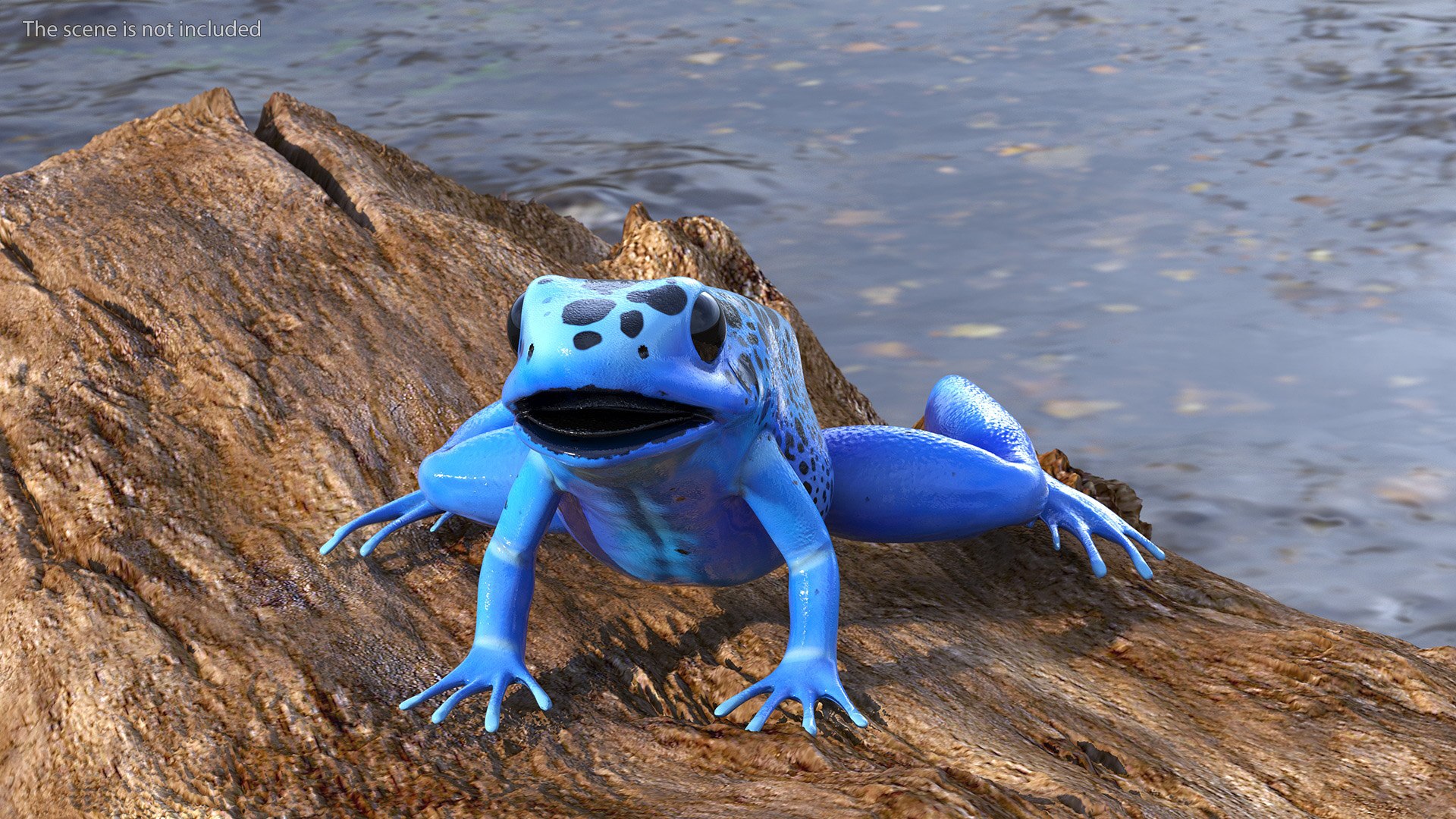 3D Blue Poison Dart Frog Model - TurboSquid 2188877