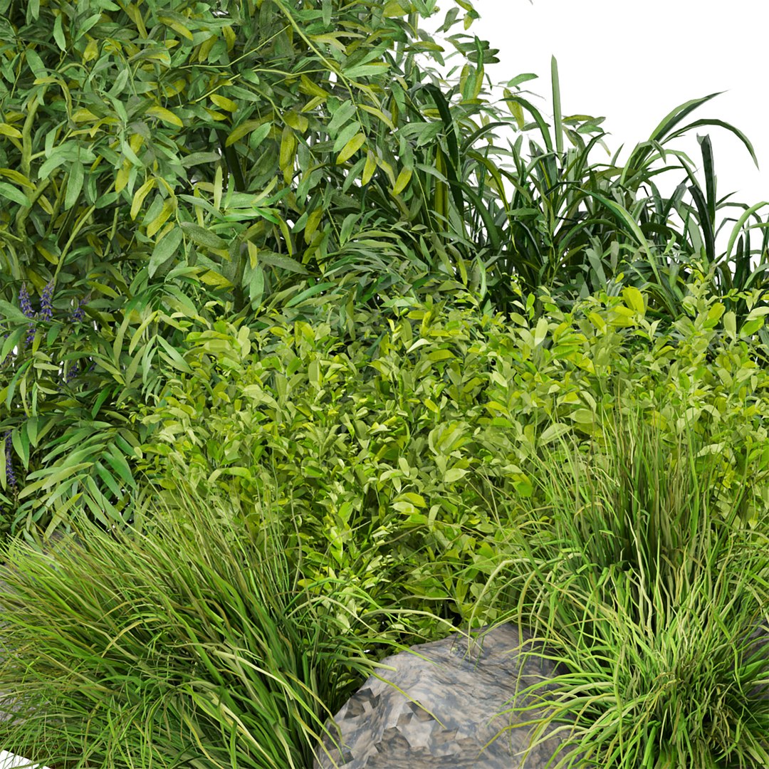 3D Collection Plant Vol 244 - Tree- Leaf - Grass - 3dmax - Obj - Fbx - TurboSquid 1891601