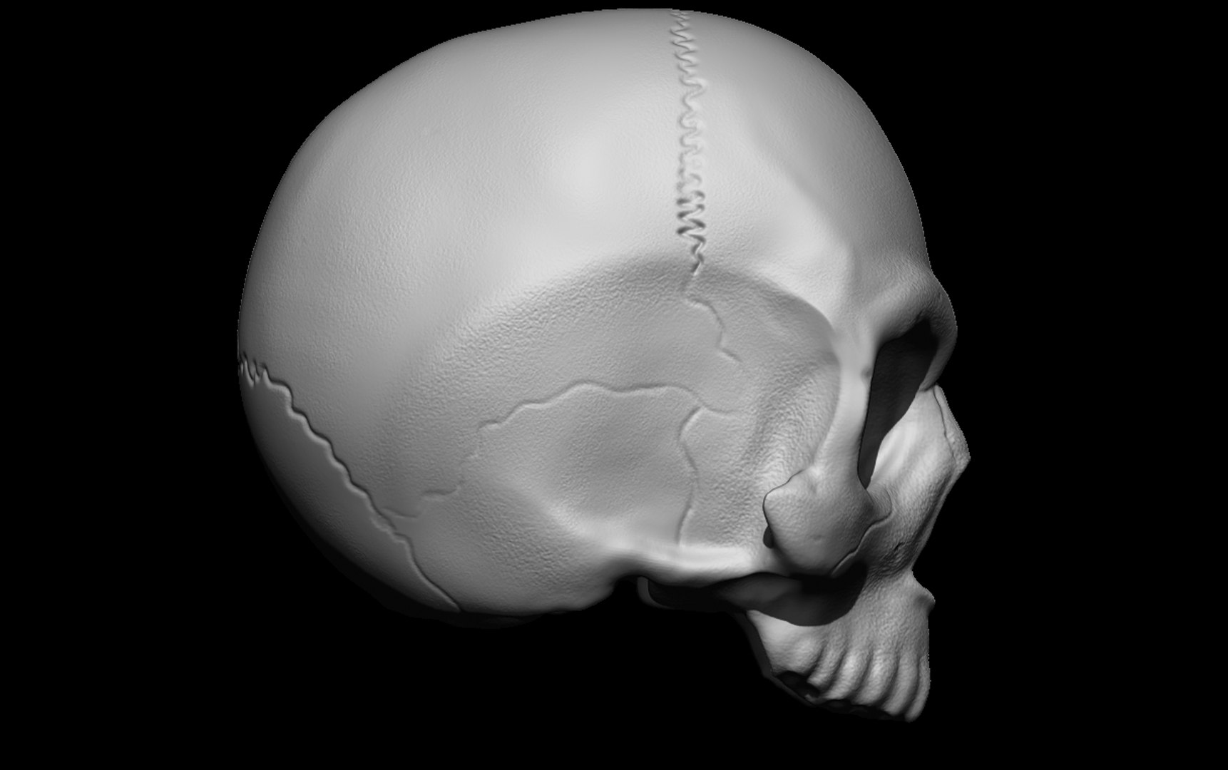 3D scull - TurboSquid 1190559
