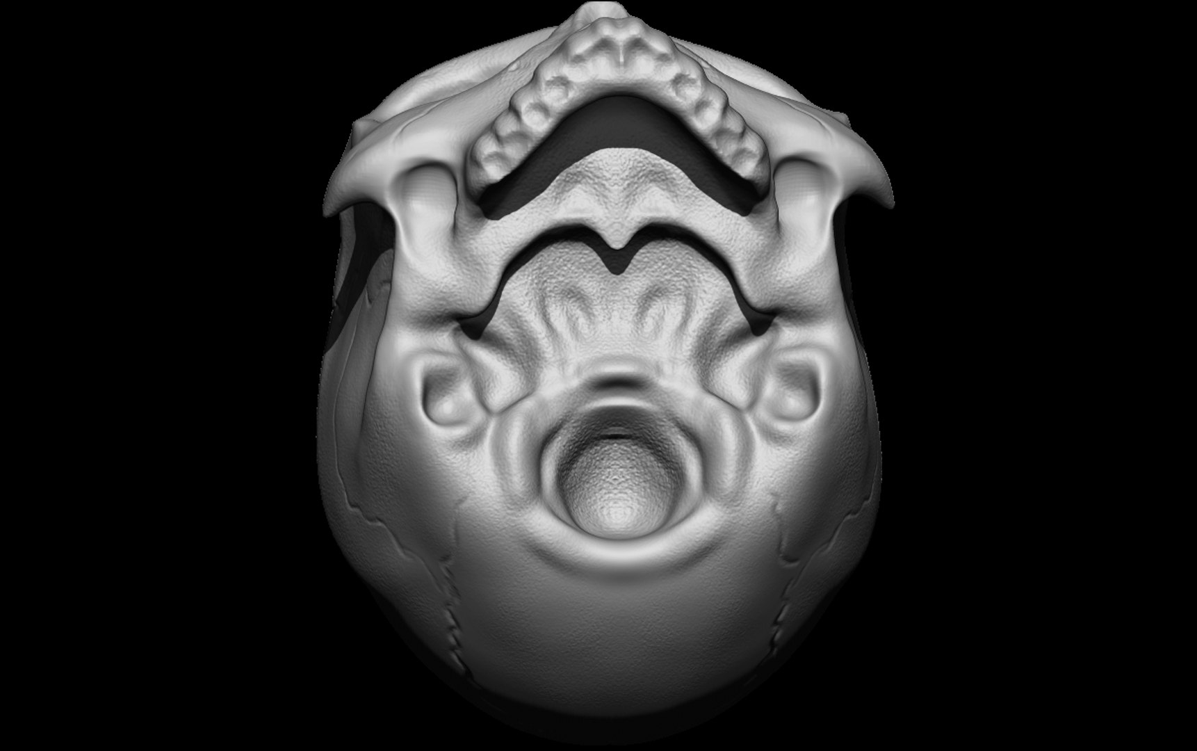 3D scull - TurboSquid 1190559