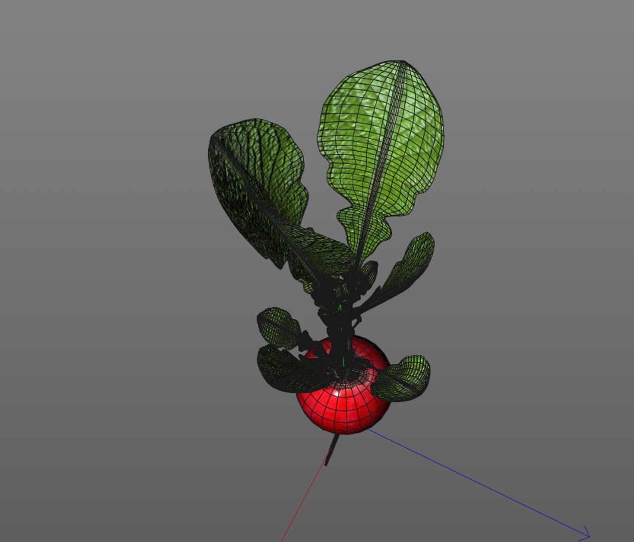 3D Radish Model - TurboSquid 1544600