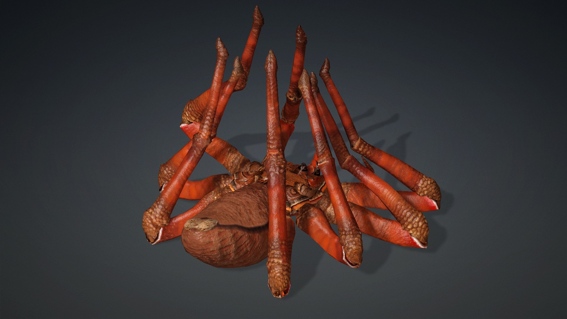 Spider-V5 3D Model - TurboSquid 2512160