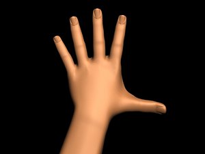 Hand 3D Models for Download | TurboSquid