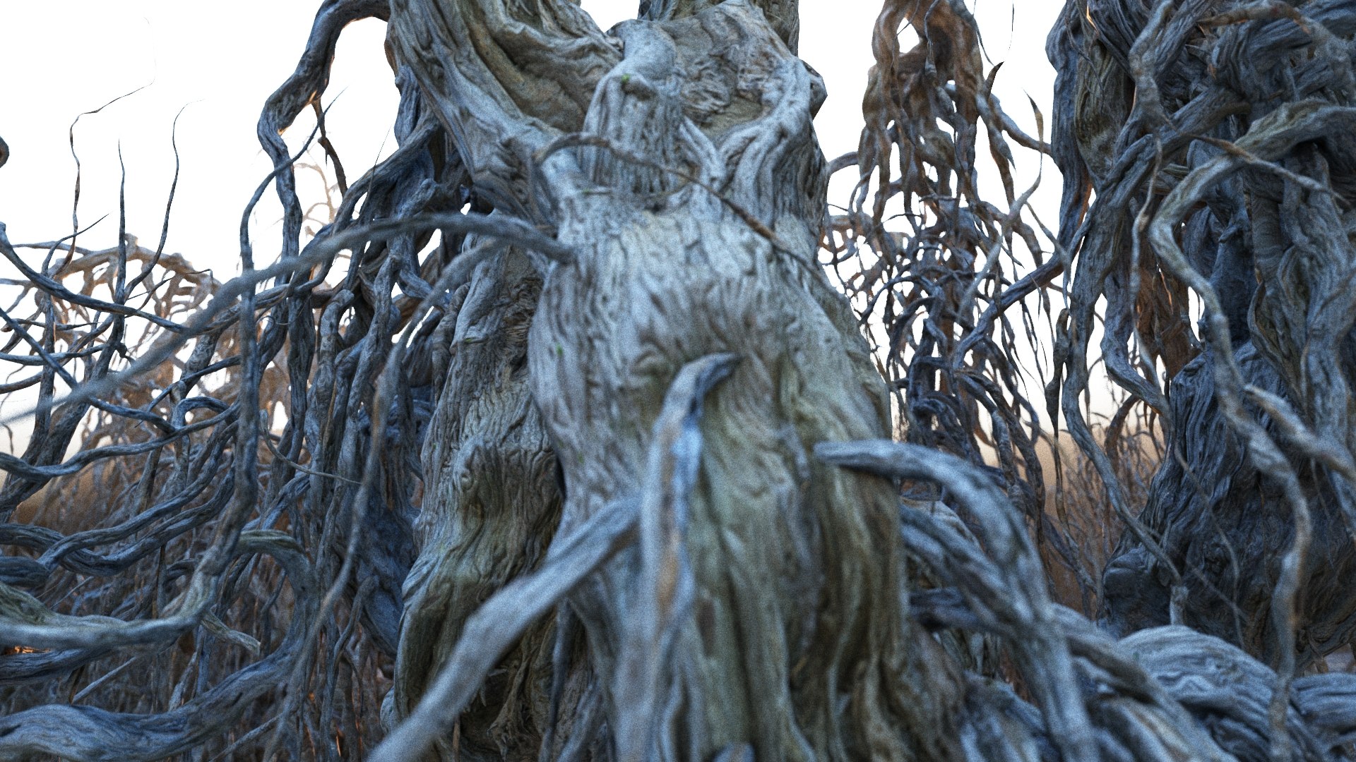 3D Dead Oasis - TurboSquid 1239924