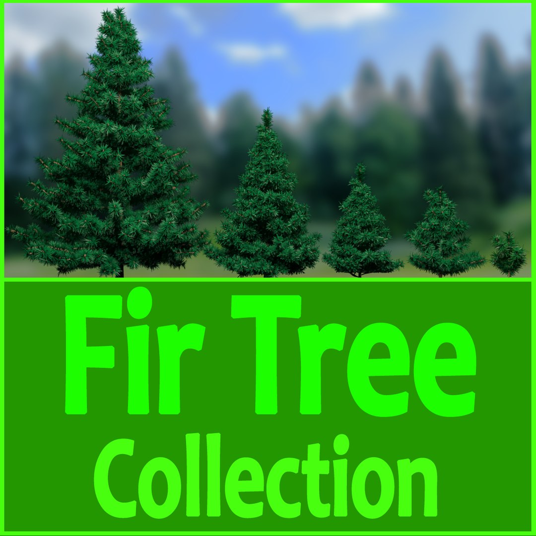 3d Model Fir Trees