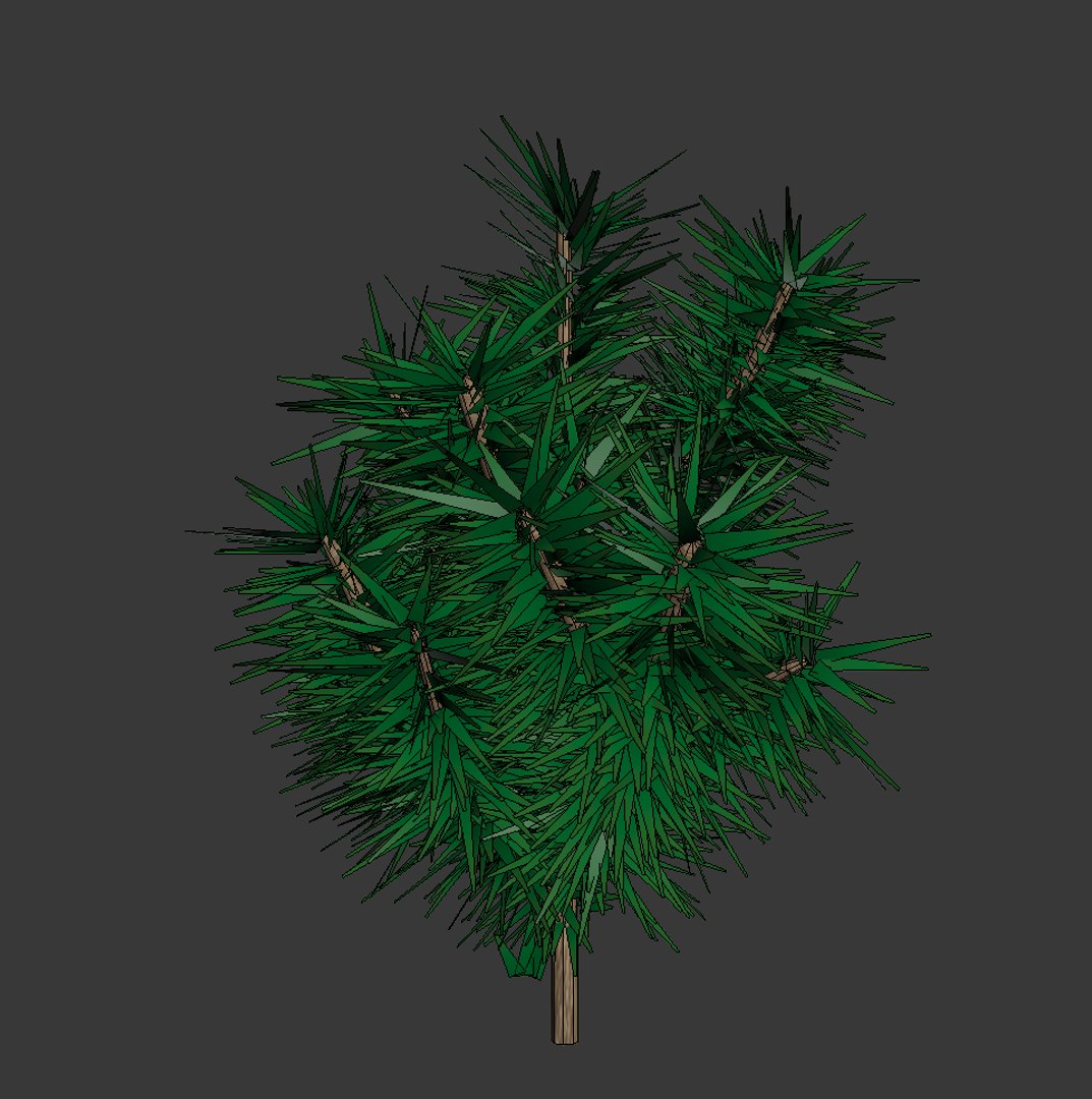 3d Model Fir Trees