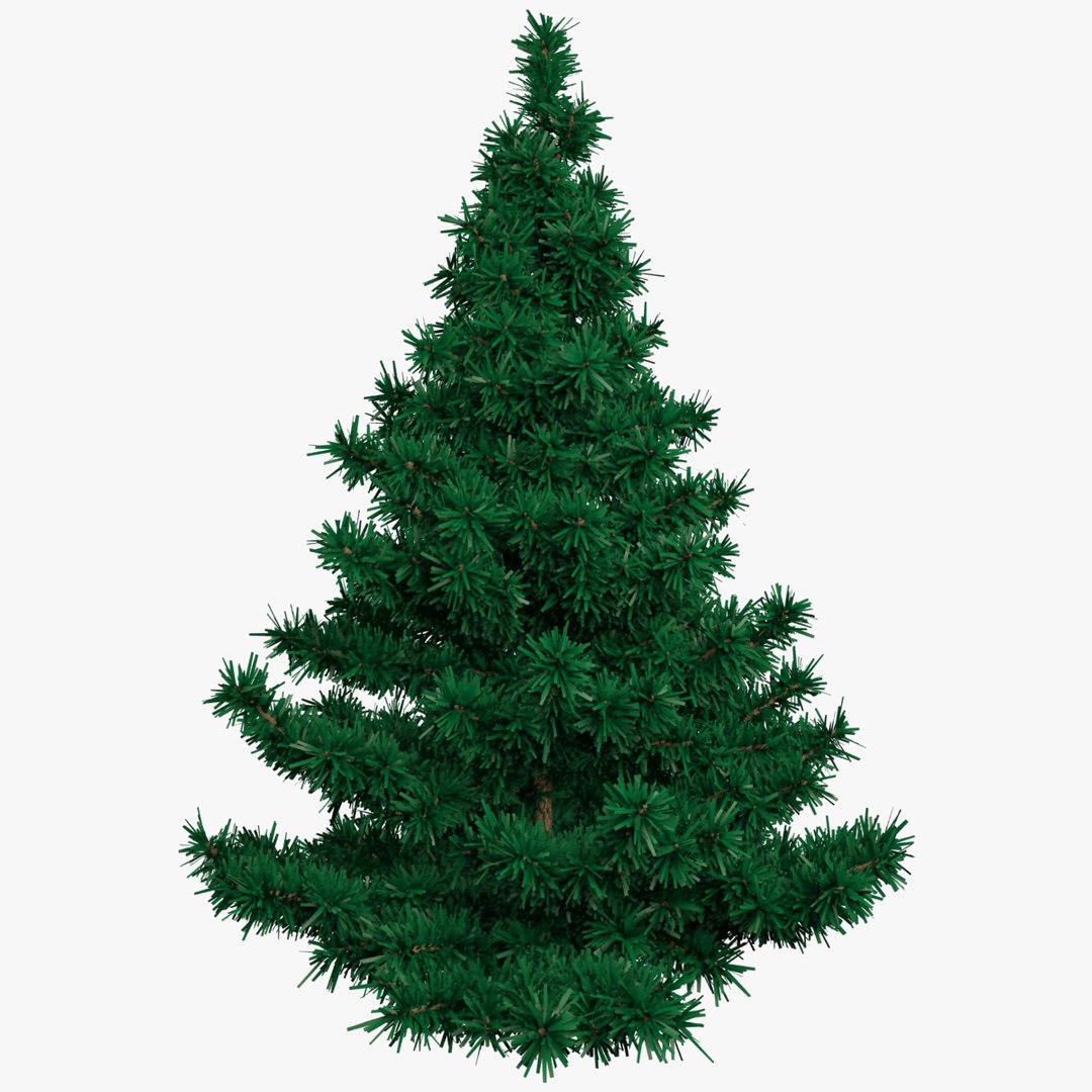 3d Model Fir Trees