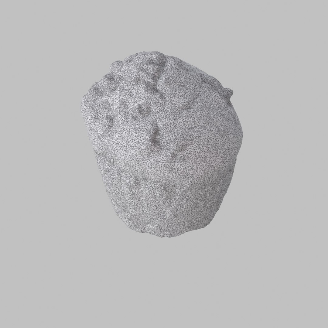 Max Muffin Blueberry Berry