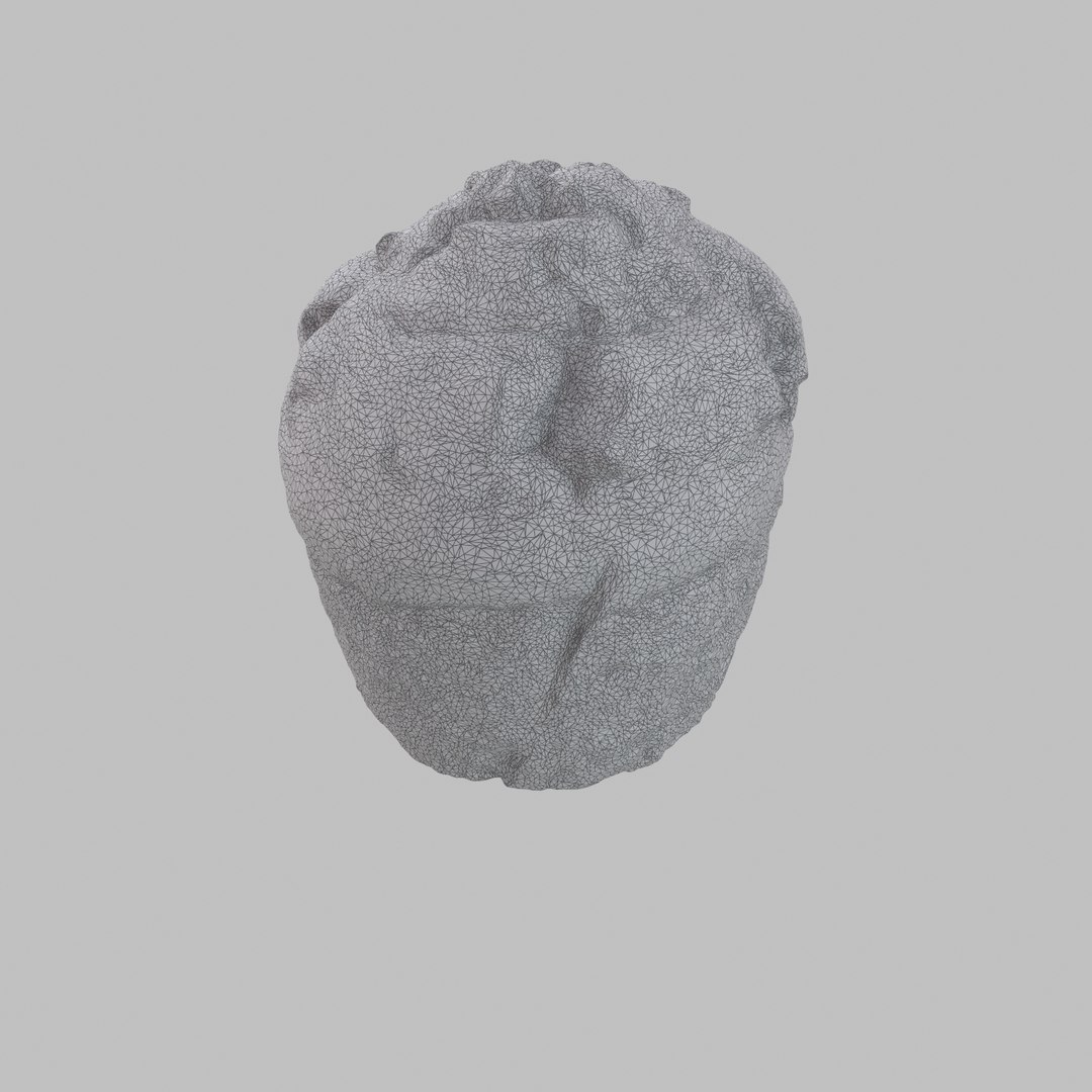 Max Muffin Blueberry Berry