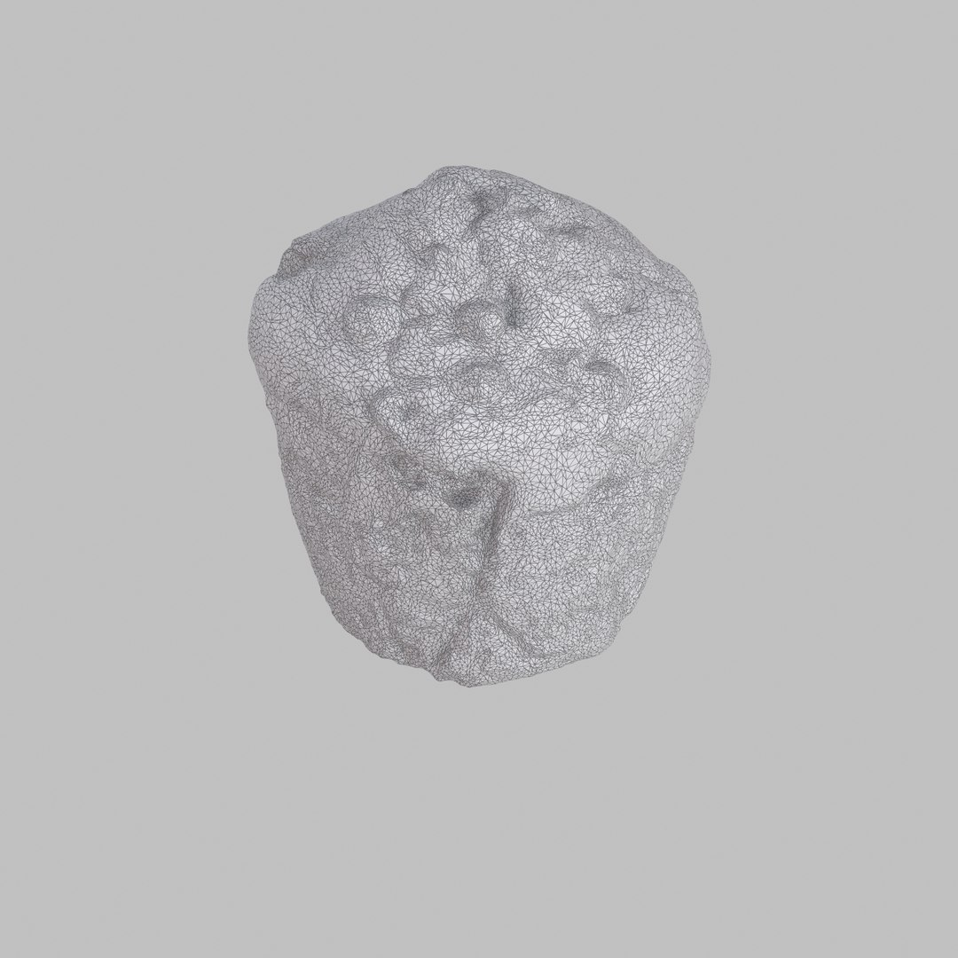 Max Muffin Blueberry Berry