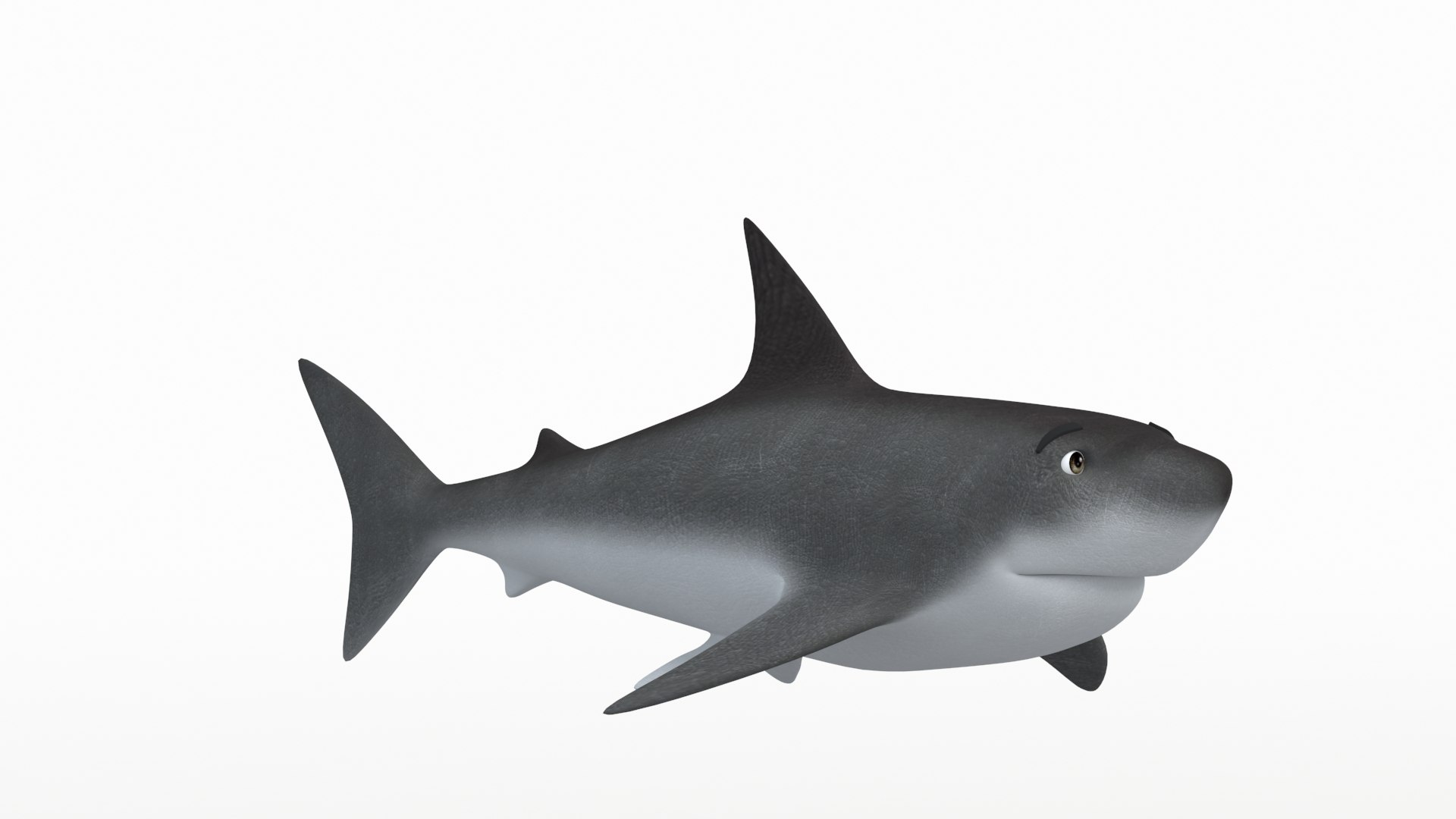 3D Shark model - TurboSquid 1865352