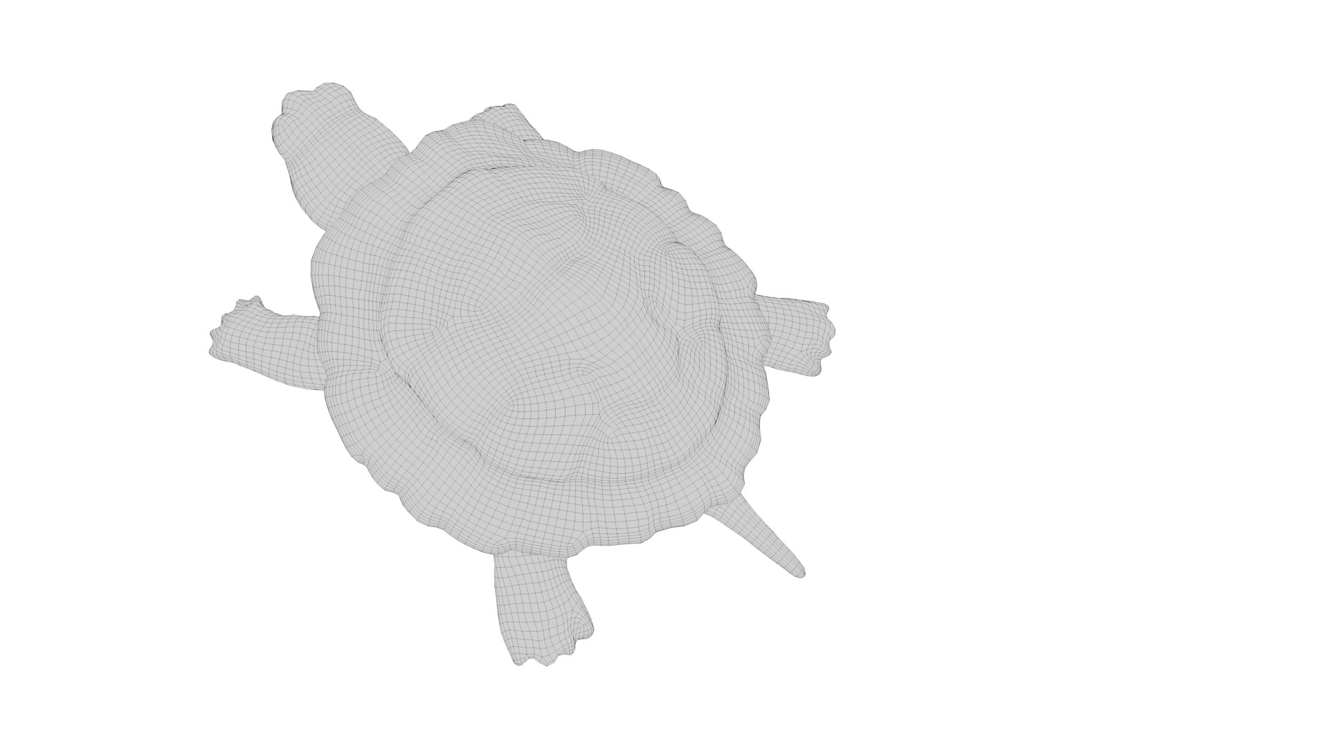 TURTLE 3D Model - TurboSquid 2085538