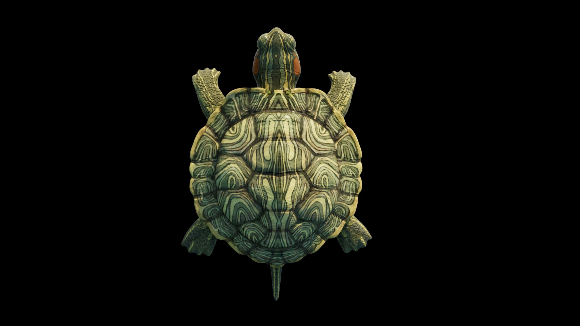 TURTLE 3D Model - TurboSquid 2085538