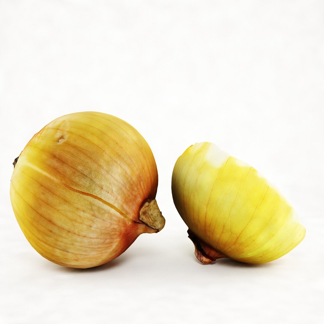 3dsmax Onion Slice