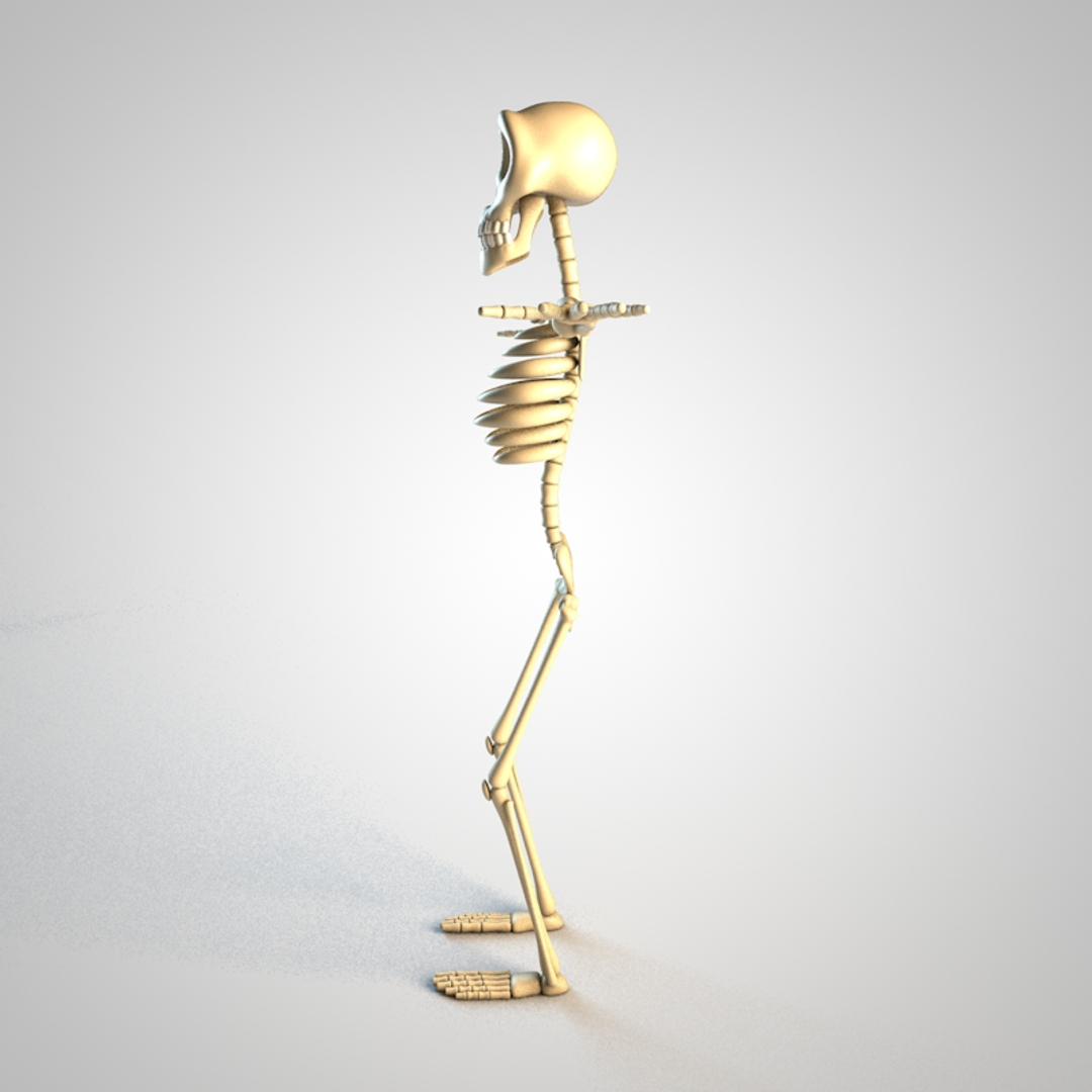 skeleton toon c4d