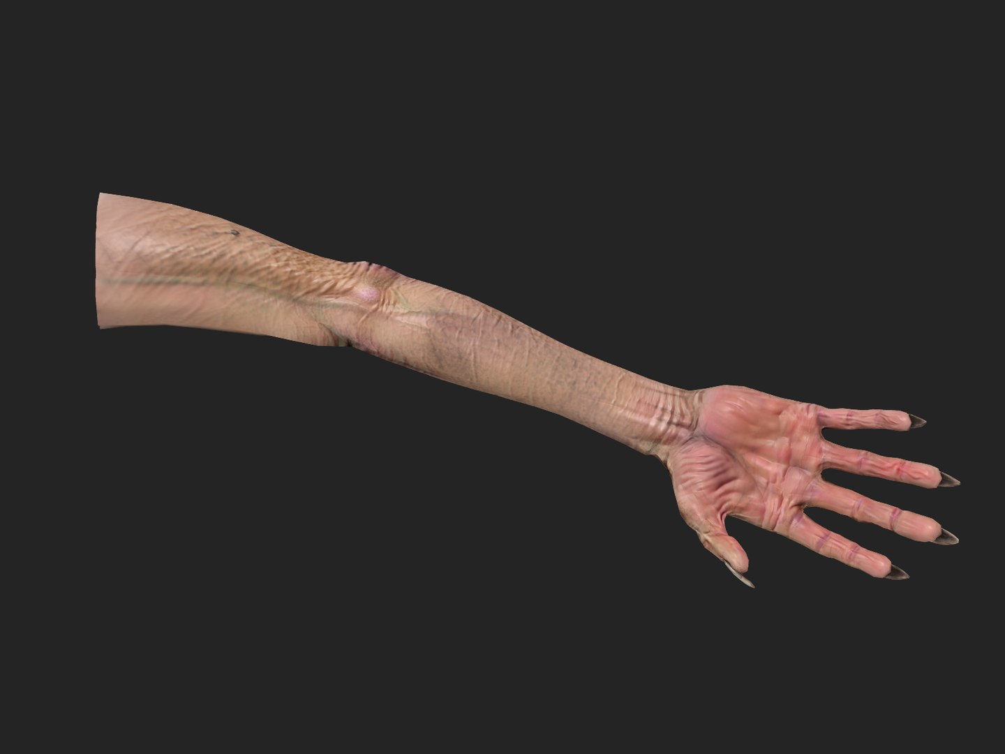 3D Hand Old Man Model | 1146733 | TurboSquid
