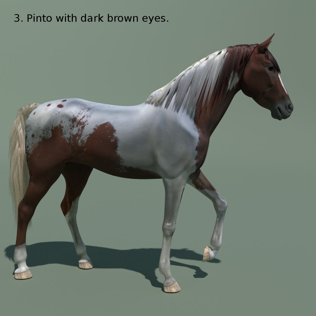 blender horse animations colour 3d 3ds