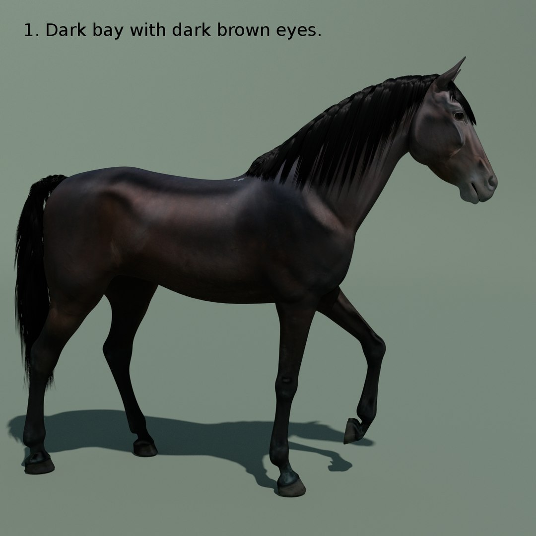 blender horse animations colour 3d 3ds