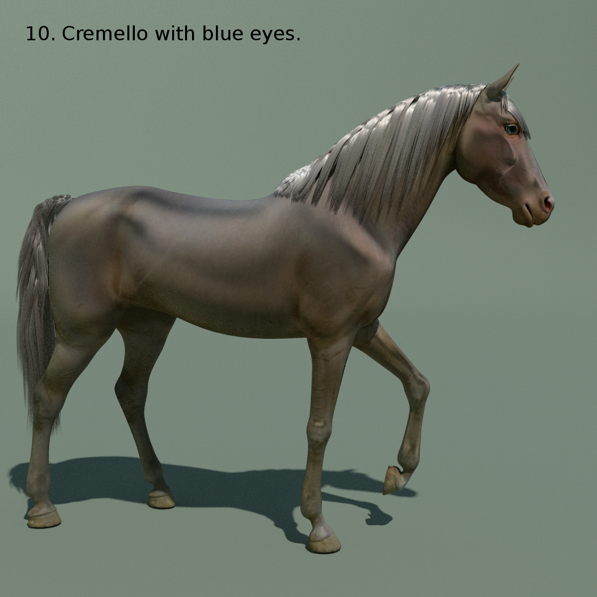 blender horse animations colour 3d 3ds