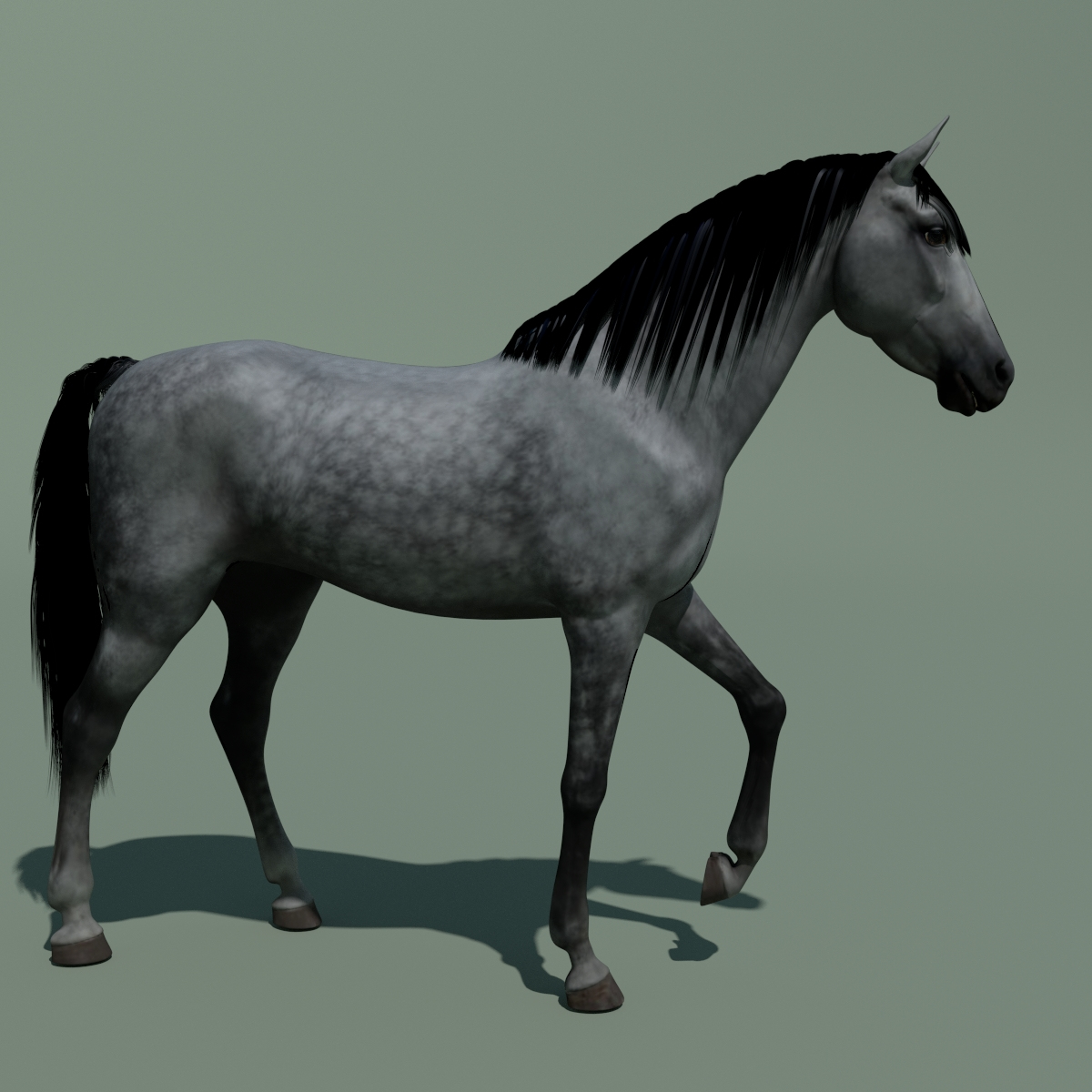 blender horse animations colour 3d 3ds