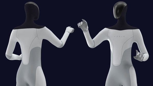 Tesla Bot Pointing Pose 3D model - TurboSquid 1807017