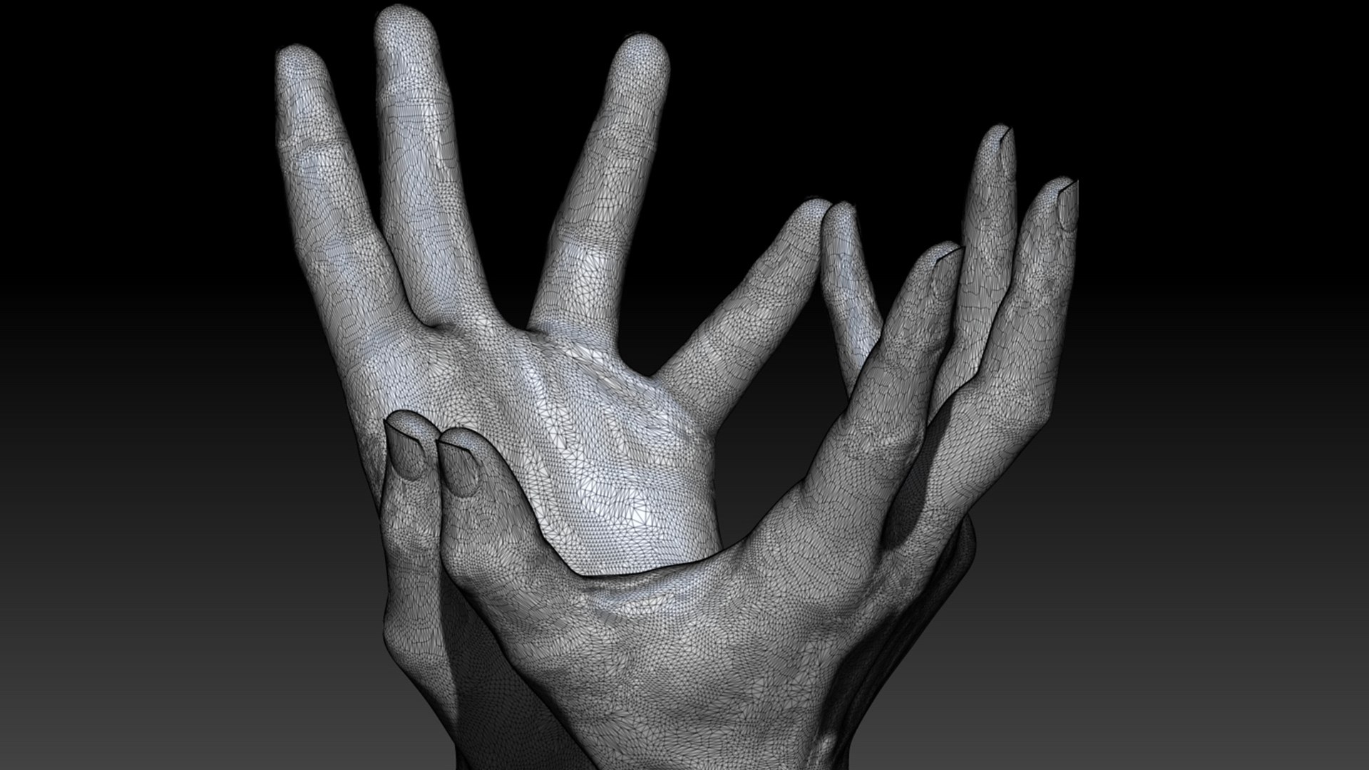 3D 16 Posed Male Duo Hand Scans - TurboSquid 2190711