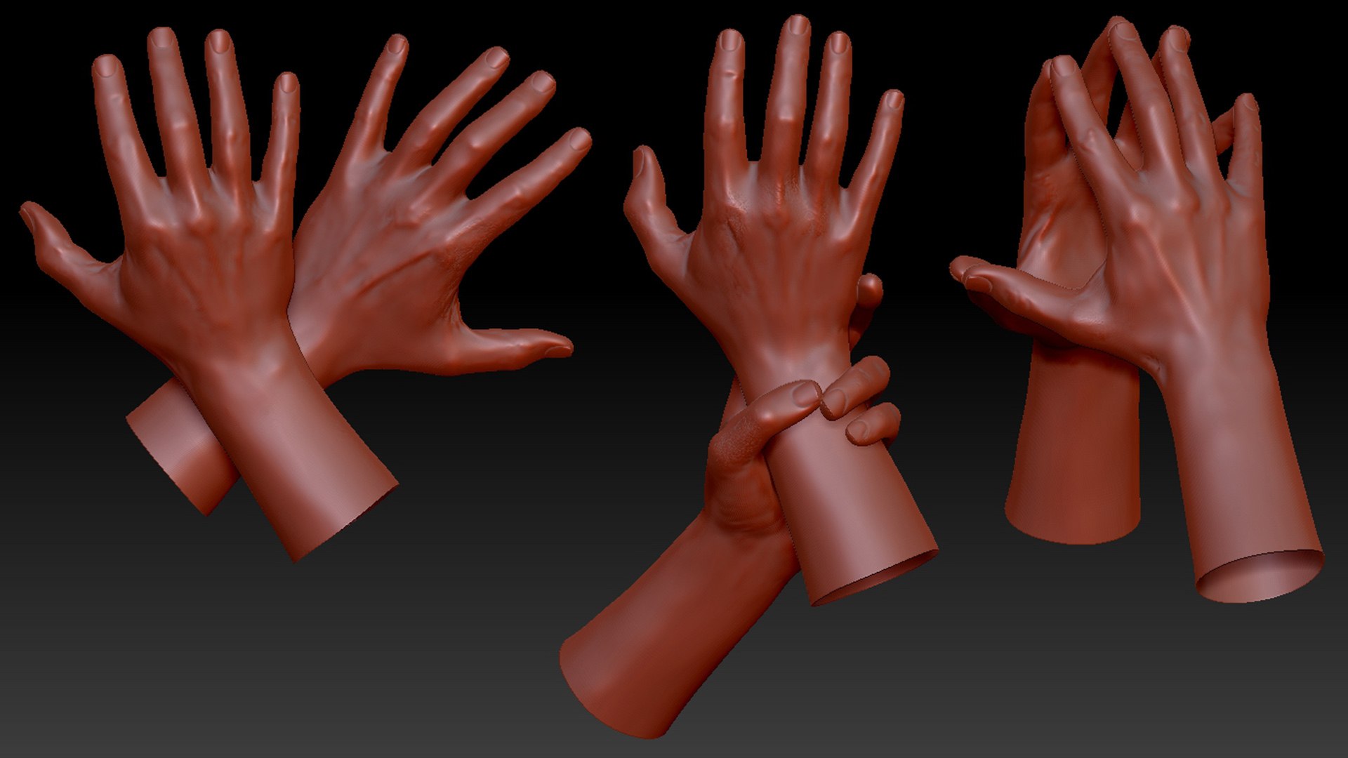 3D 16 Posed Male Duo Hand Scans - TurboSquid 2190711