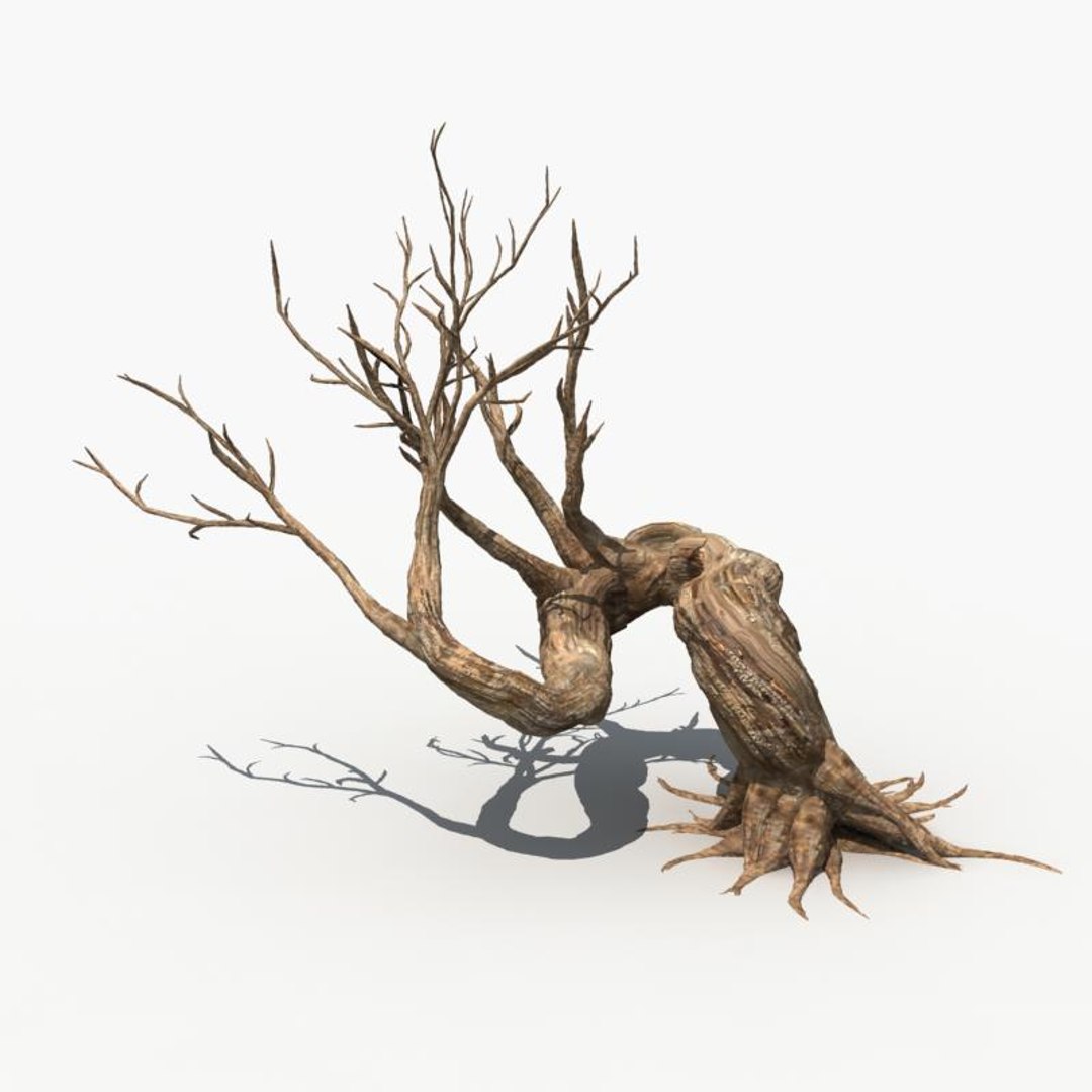 3d scary tree dry