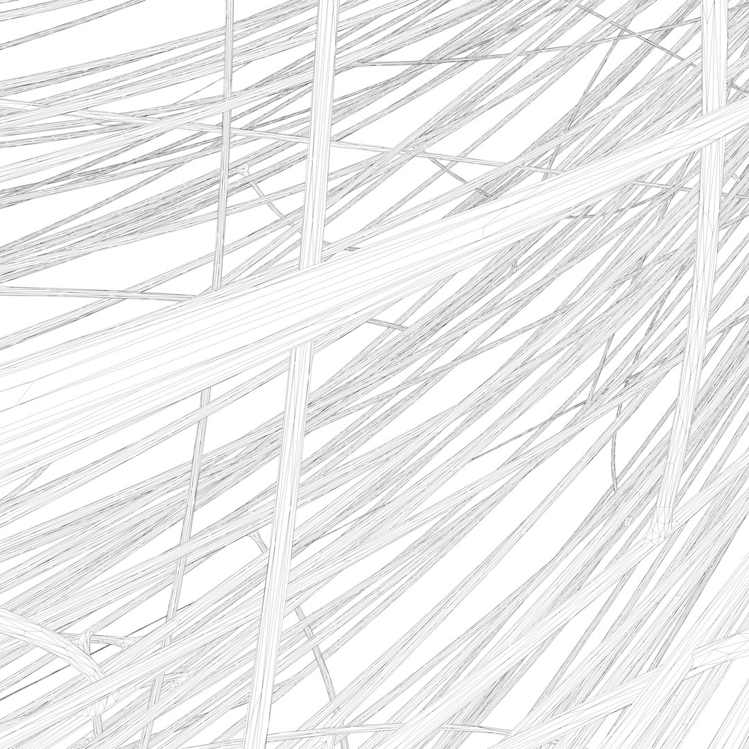 Cable Wire Web 3D - TurboSquid 2050201