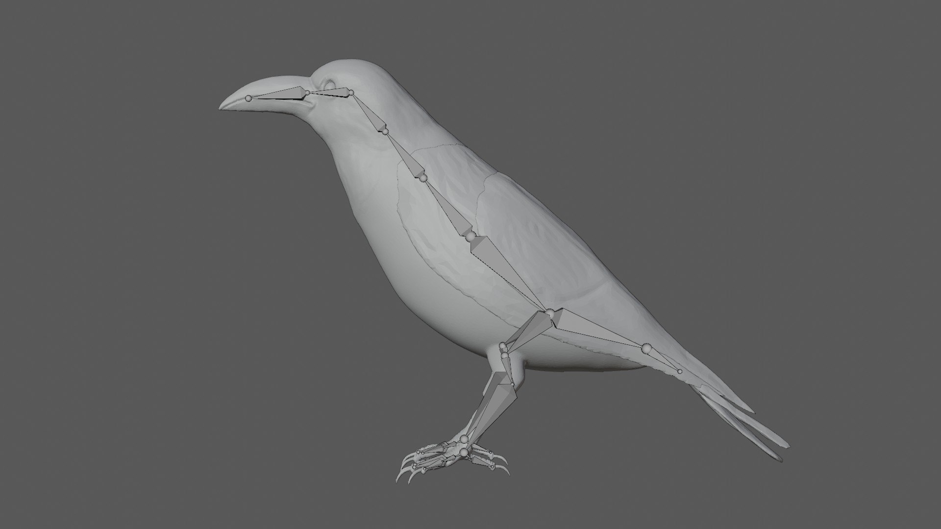 Fully Rigged Low Poly Raven Black Crow 3D Model - TurboSquid 1757876