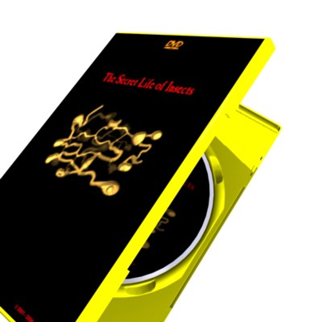 dvd case 3d model