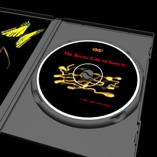 dvd case 3d model