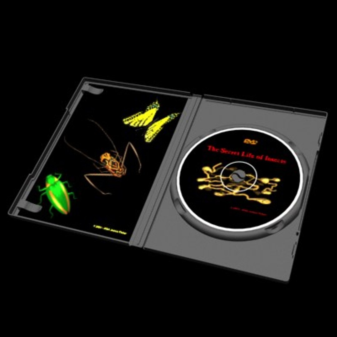 dvd case 3d model